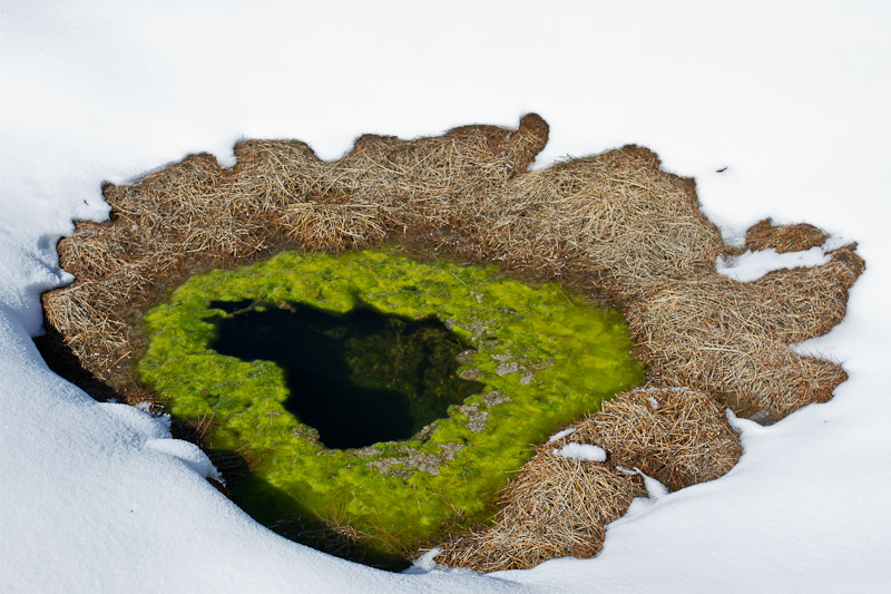 Yellowstone - Gallery | Professional Hiatus Yellowstone - Gallery | Professional Hiatus