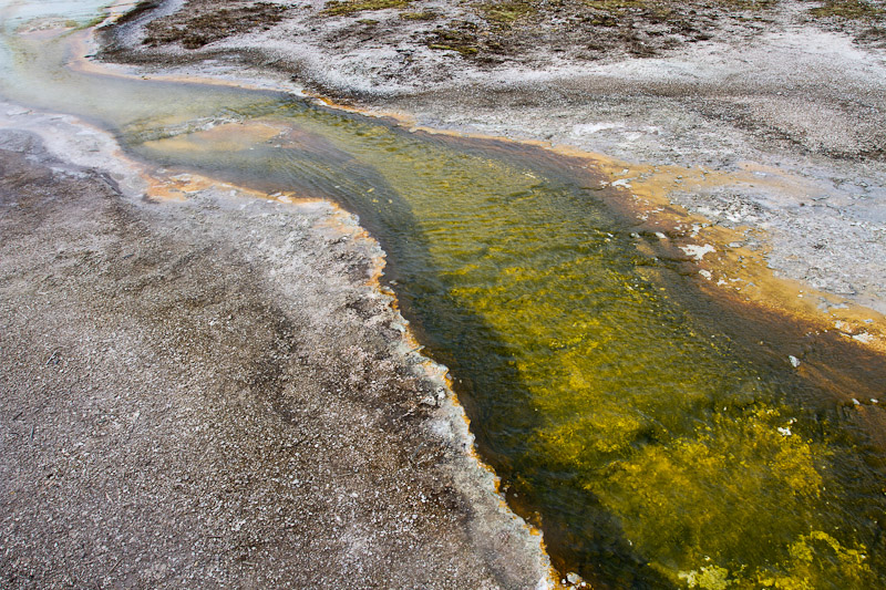 Yellowstone - Gallery | Professional Hiatus Yellowstone - Gallery | Professional Hiatus